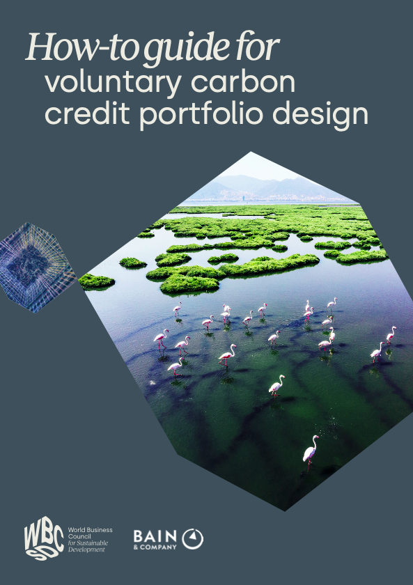How-to guide for voluntary carbon credit portfolio design Resource ...
