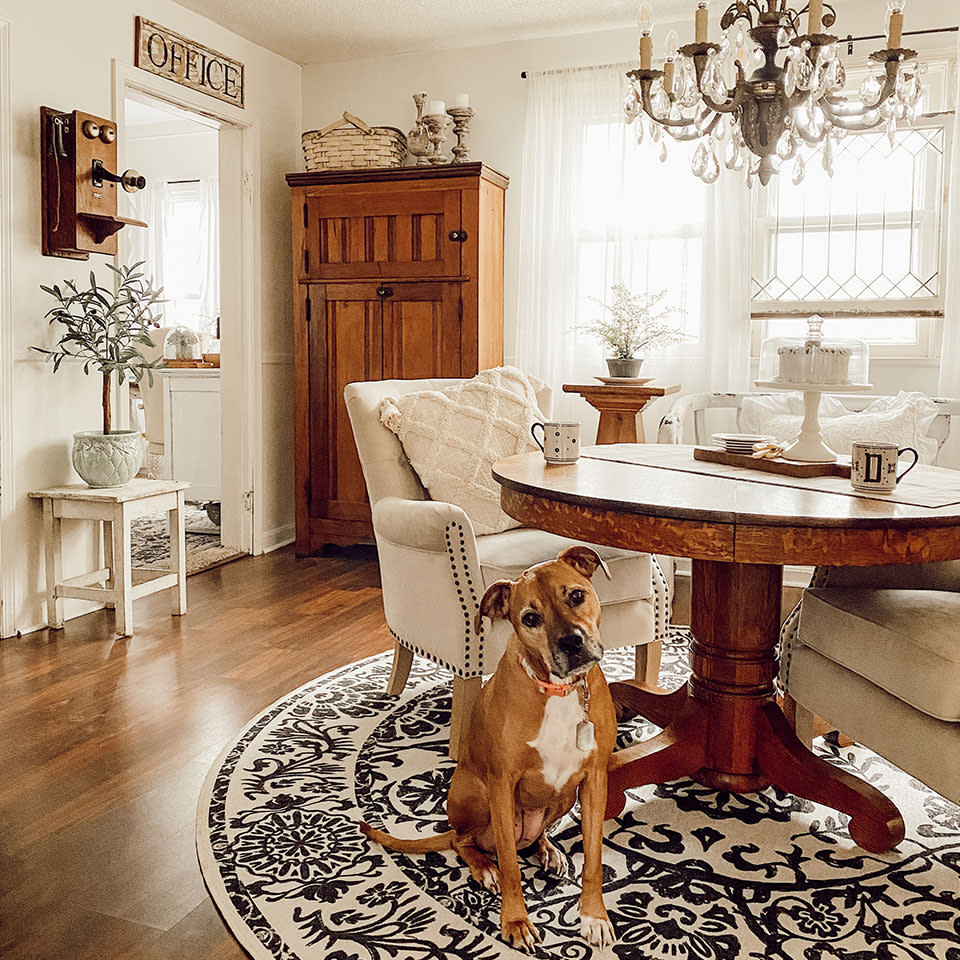 Ruggable 7 Tips on How to Get Dog Smell Out of Your Rugs