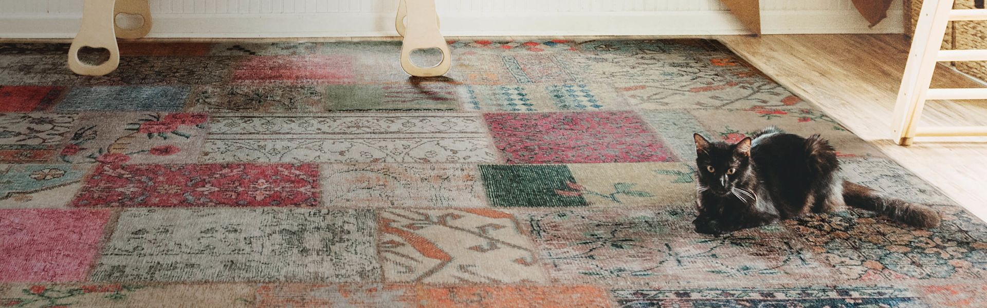 Best Rug for Cat Owners | Ruggable AU