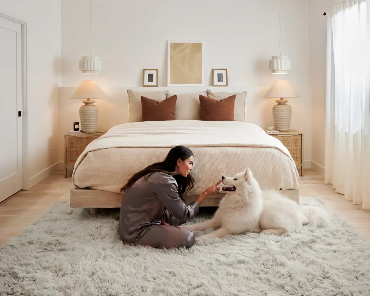8x10 White Shag Rug in Bedroom With Dog Mobile | Ruggable