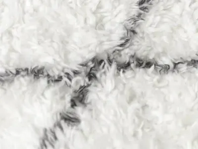 Home Office Rugs | Desk Rugs for Office | Ruggable