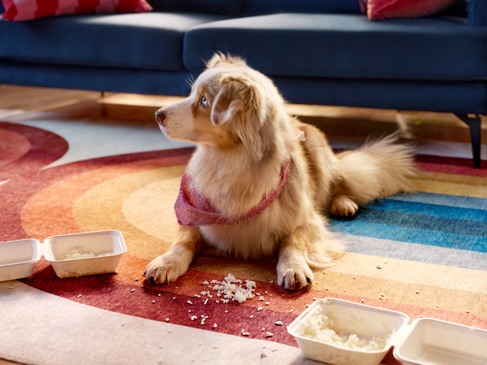 Benefits of Washable Rugs