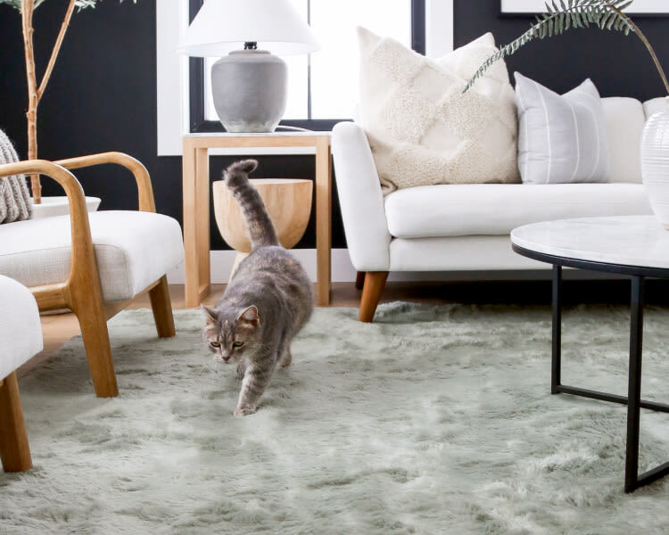 Cat Rugs: Buy A Cat Rug Or Cat Area Rug | Cat Proof Rugs By Ruggable