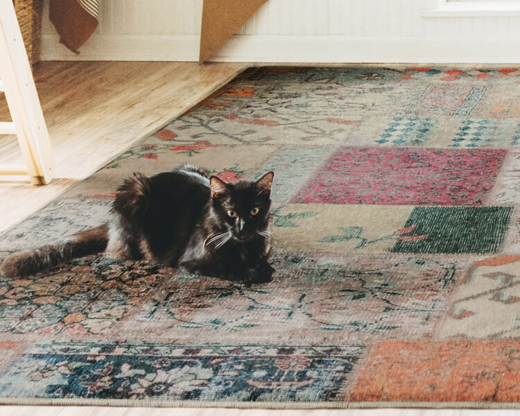Best Rug for Cat Owners | Ruggable AU