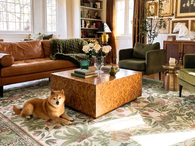 Halloween Rugs | Spooky Horror Rugs | Ruggable