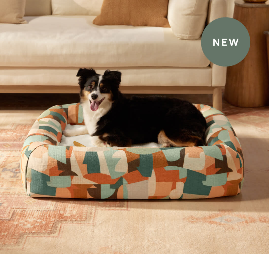 Washable Rugs & Washable Area Rugs by Ruggable