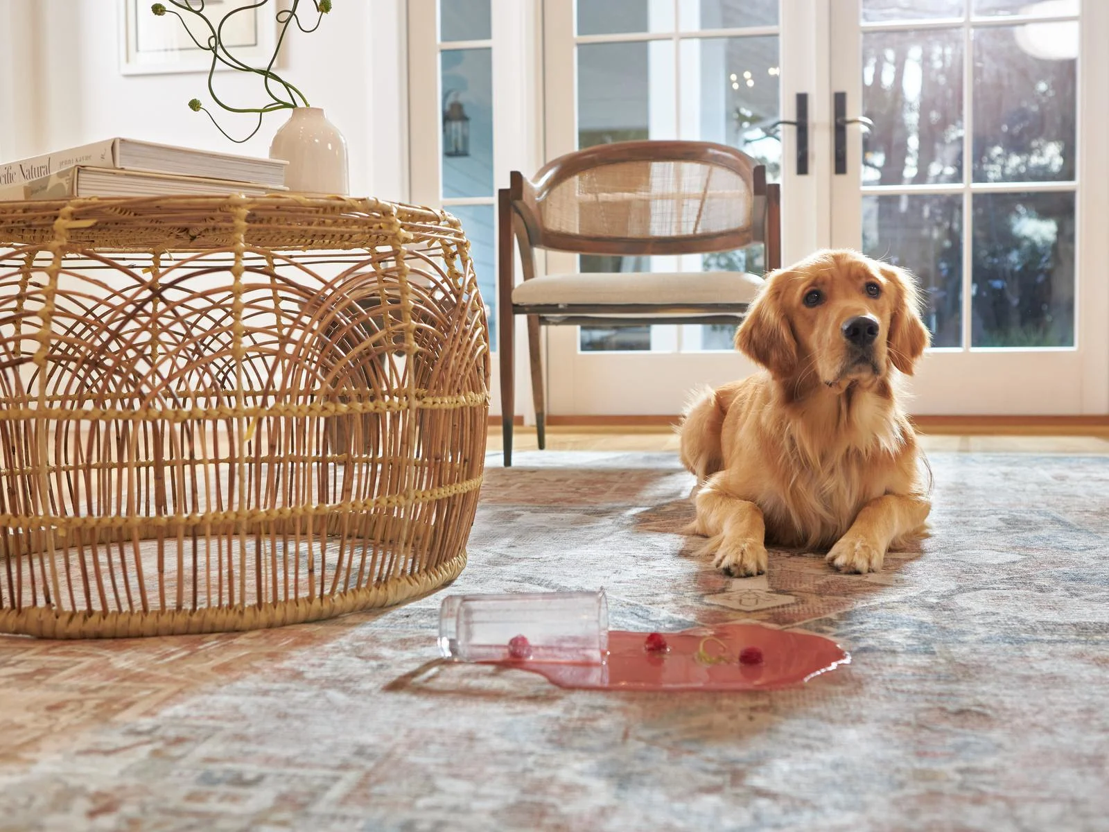 Rug Stain Rescue: How to Remove Any Stain With Ease | Ruggable