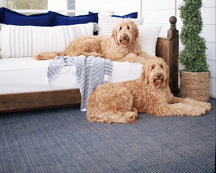 Re-Jute Rugs | Washable Jute-Like Rugs | Ruggable UK
