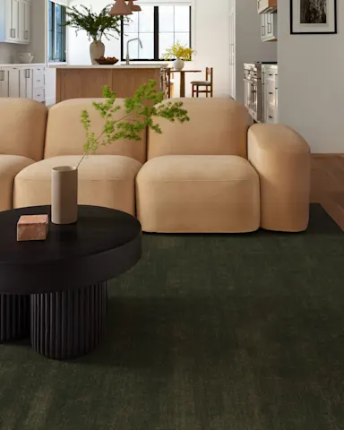 Nico Solid Olive Rug | Ruggable