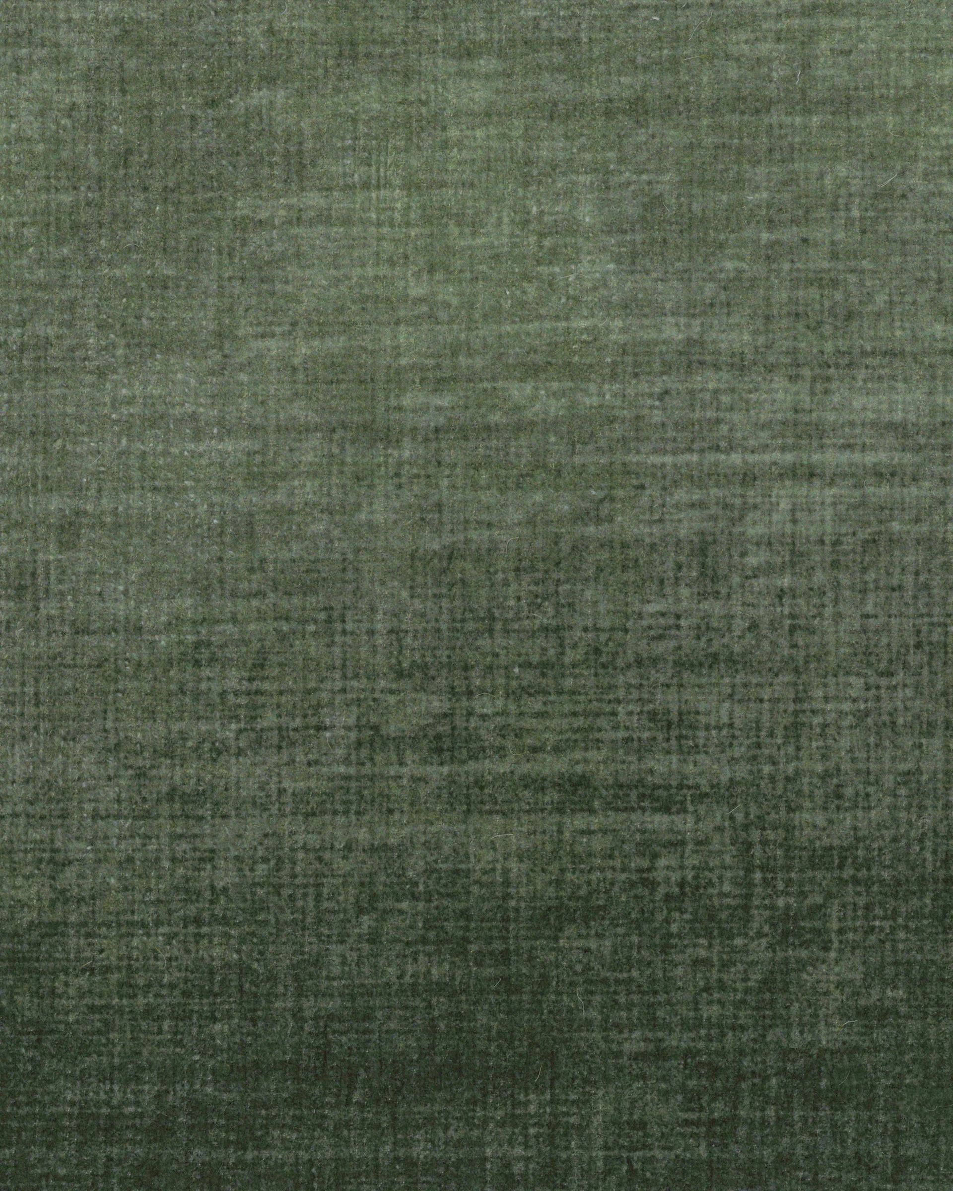 Aura Ombre Solid Sage Rug | Ruggable