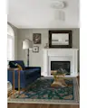 Iris Apfel Flutterby Rug | Ruggable