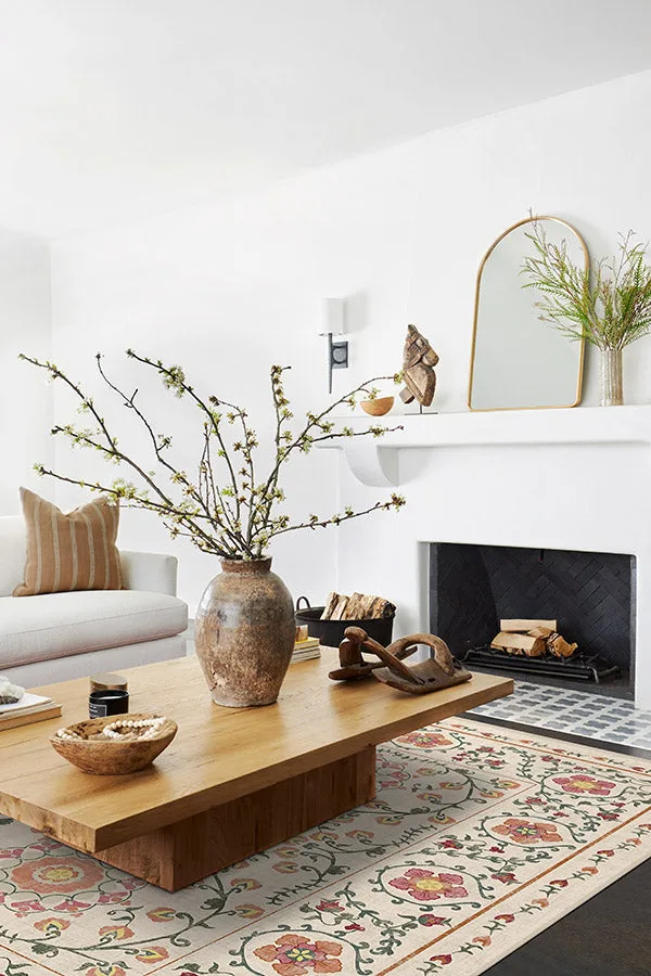 Suzani Coral Rug | Ruggable