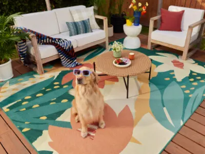 Spring, Summer, Fall & Winter Seasonal Area Rugs & Runners | Ruggable