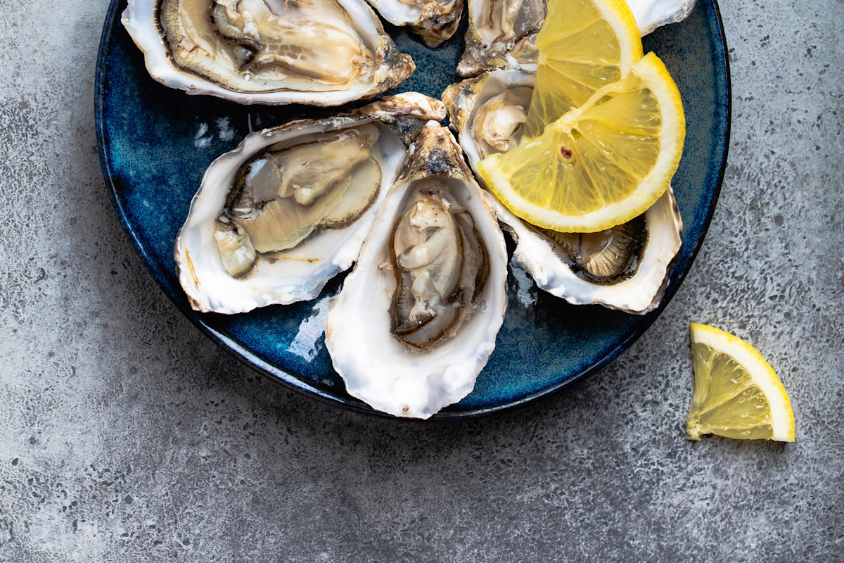 7x oesters eten in Zeeland | Tips en hotspots | allyourz