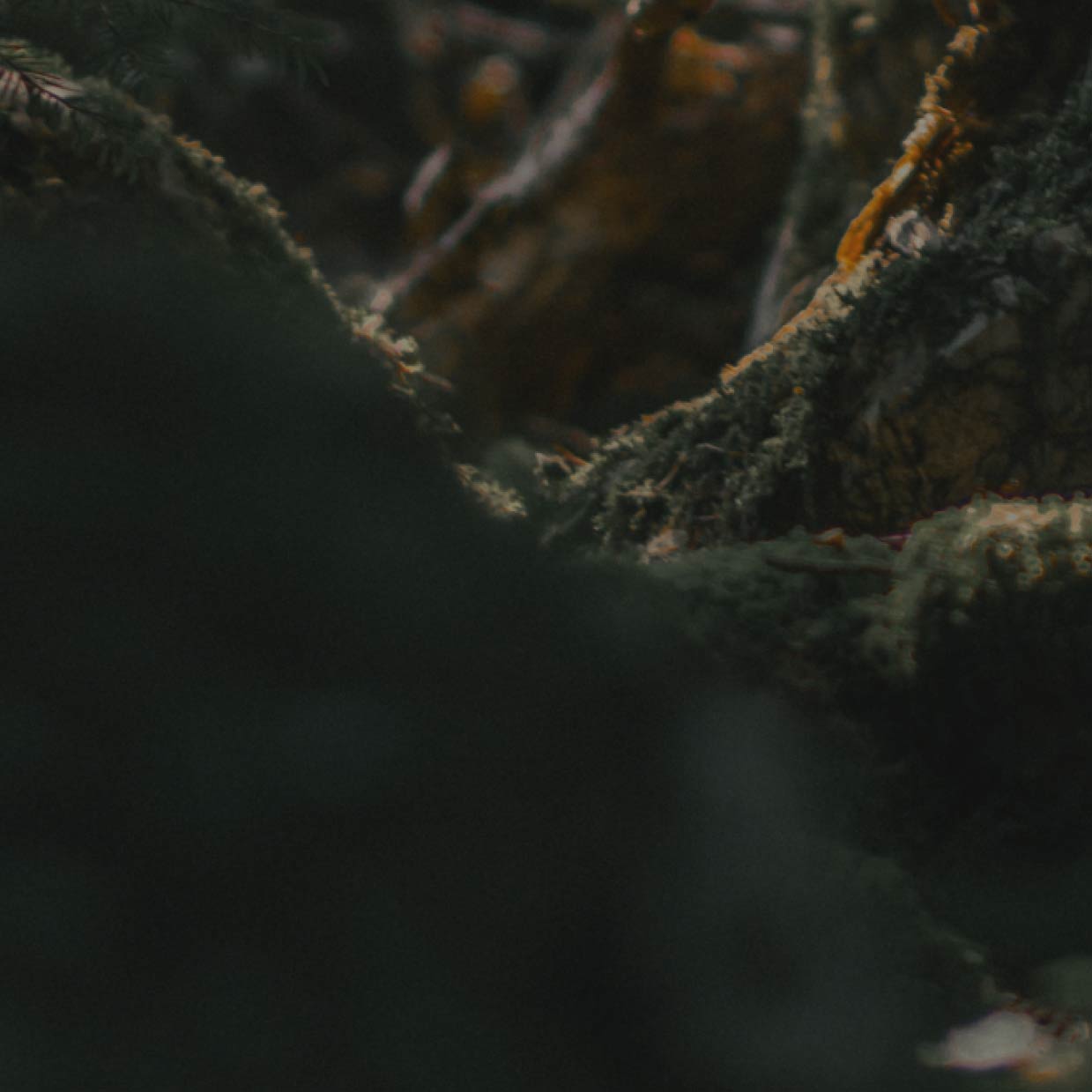 First lessons from a multi-company collaboration project | Combient Pure