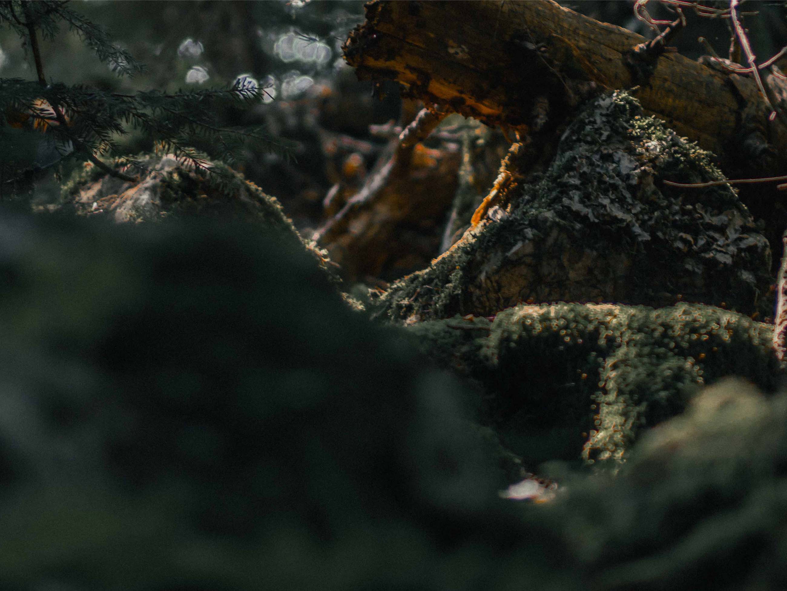 Key learnings from Combient Pure’s Circularity Development Program 2023