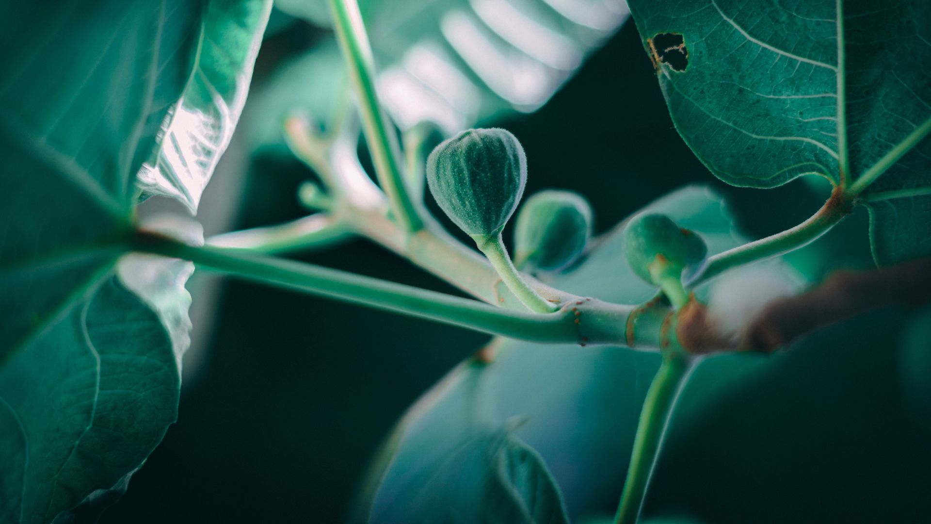 How to succeed in Scope 3 emission reductions? A recap from a Combient ...