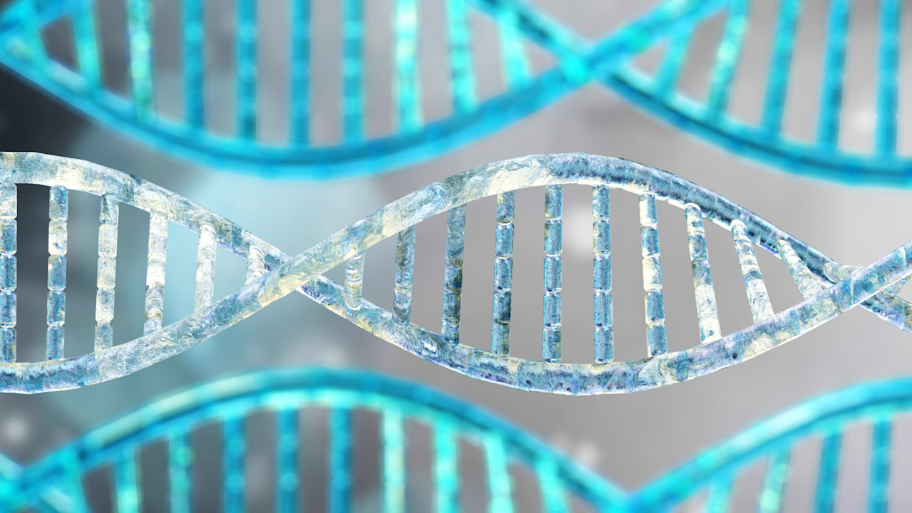 Resolving DNA Origami Folding in Real Time | Measurlabs