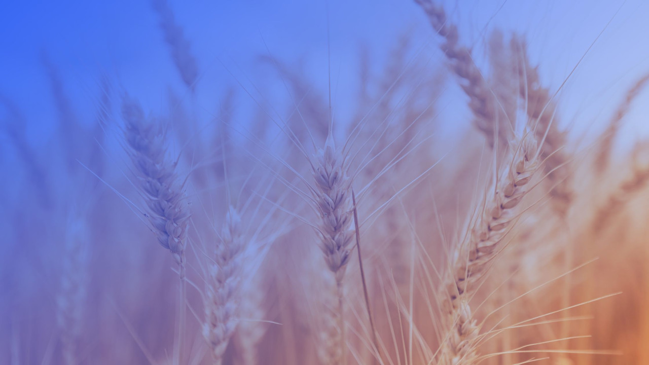Food Contaminant Analysis By Eu Regulations Measurlabs