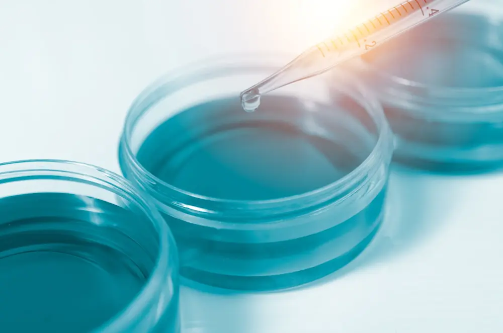 Toxicological Evaluation of Medical Devices | Measurlabs