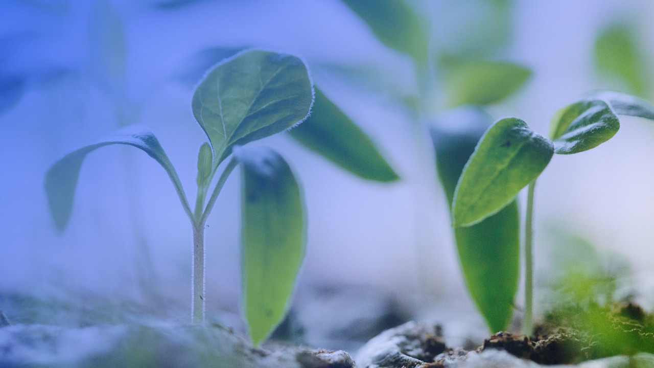How is Biobased Content Measured? | Measurlabs
