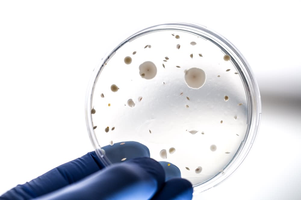 Microbiological Testing Services Measurlabs