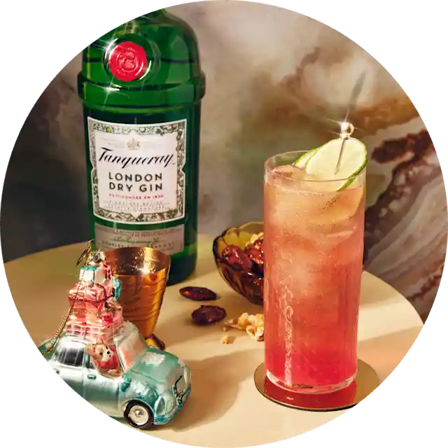 La guía definitiva para la ginebra | The Bar España