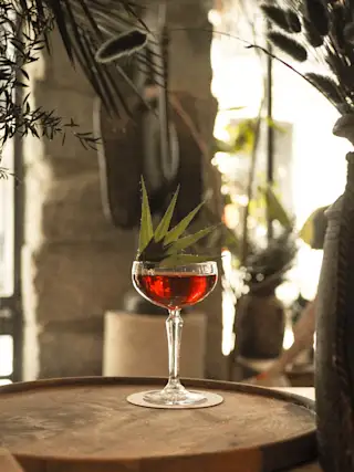 Ficus: Coctelería de autor en un oasis africano en Chueca | The Bar España