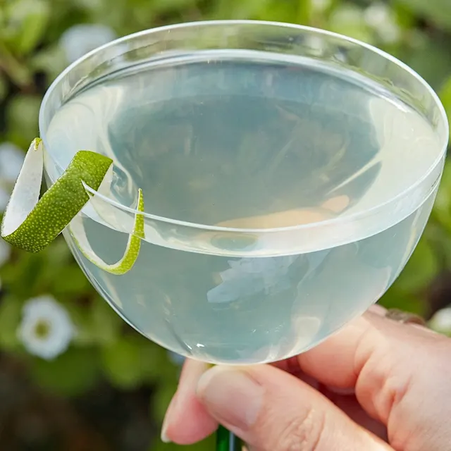 Brindar sin alcohol | The Bar España