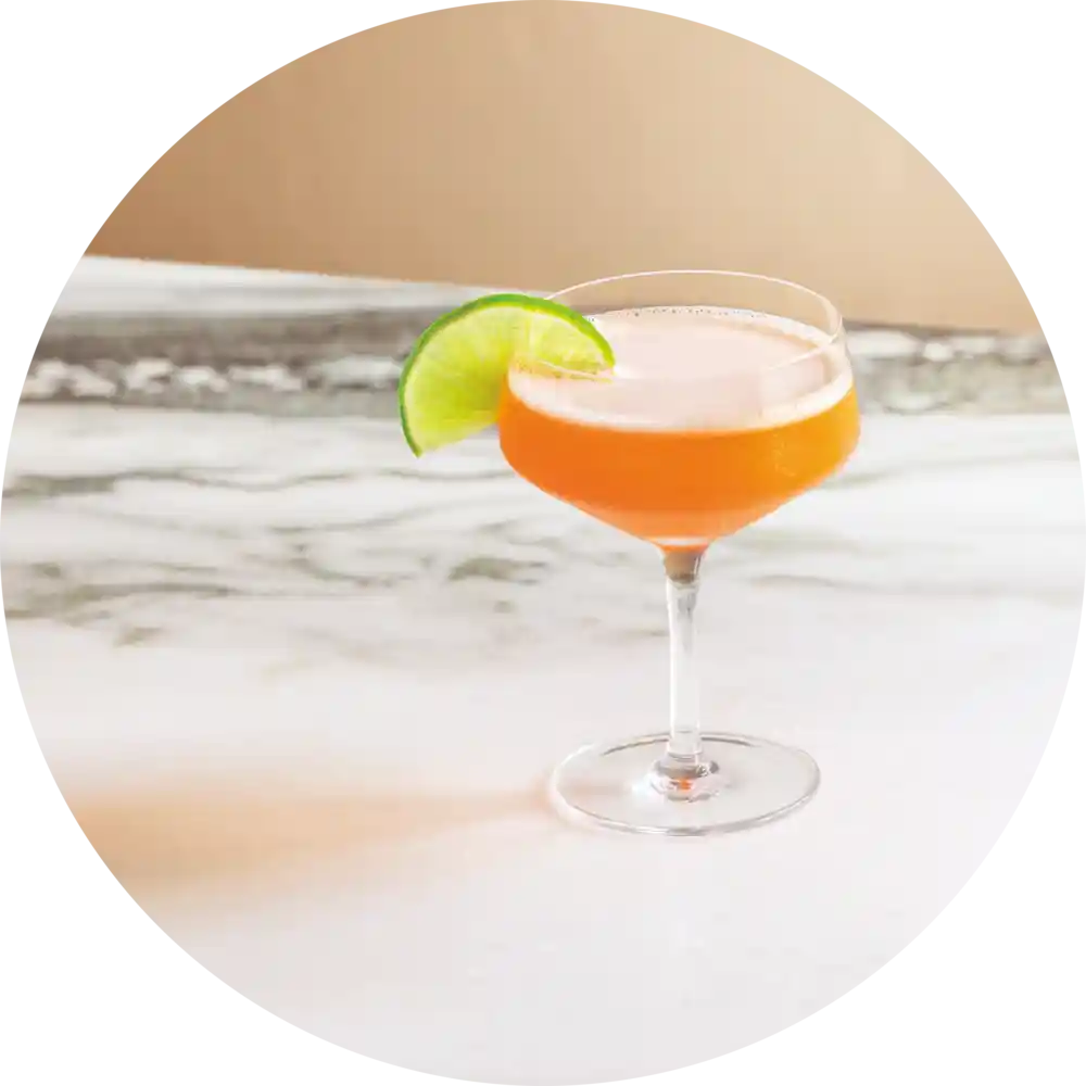 La guía definitiva sobre el vodka | The Bar España
