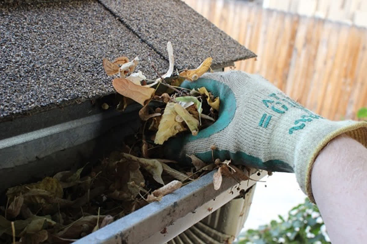 Be Prepared This Summer | The Griffith Phoenix - Griffith Region News ...