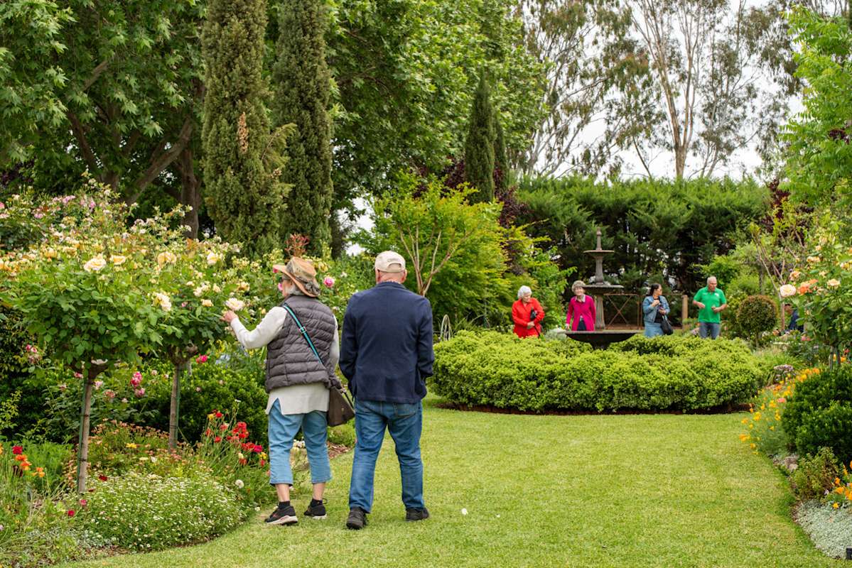 Griffith Spring Fest Celebrates 32 Years Of Open Gardens | The Griffith ...