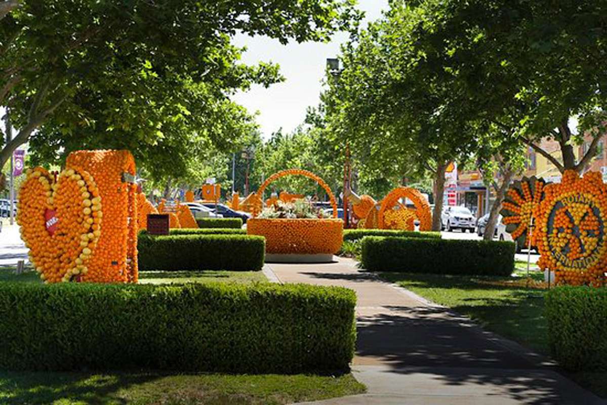 Citrus Sculptures A Huge Attraction For Griffith Spring Fest | The ...