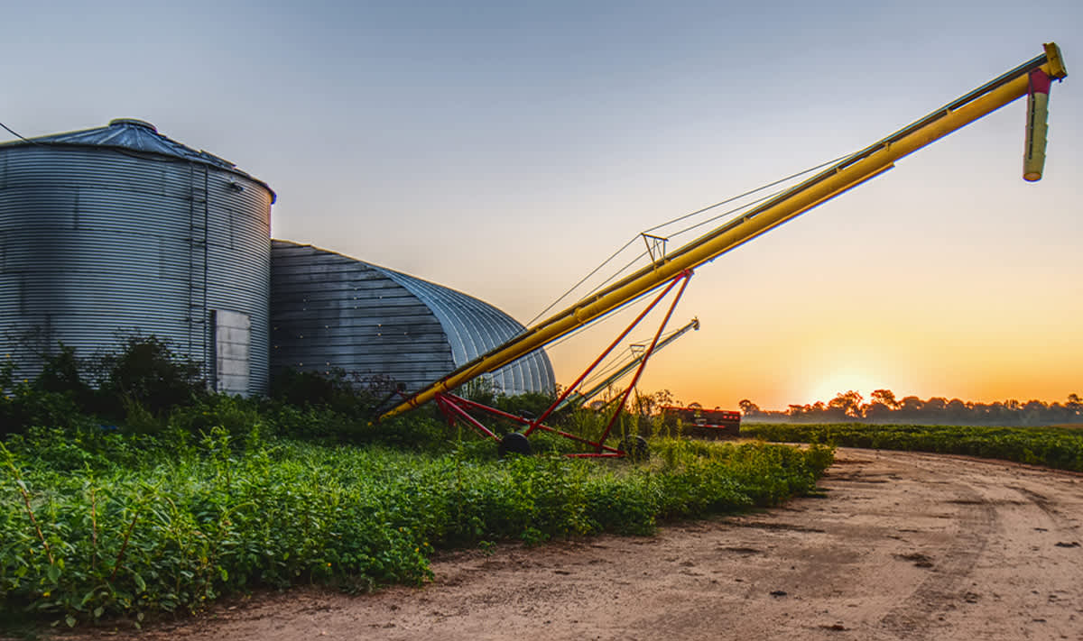 Safety First Approach Necessary On Aussie Farms | The Griffith Phoenix ...