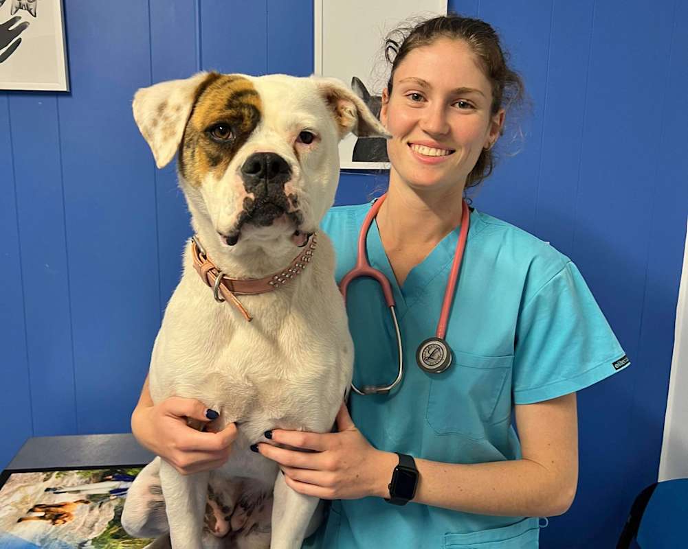 Animal Instinct - How TAFE NSW Griffith Helped Molly Find Her Pet ...