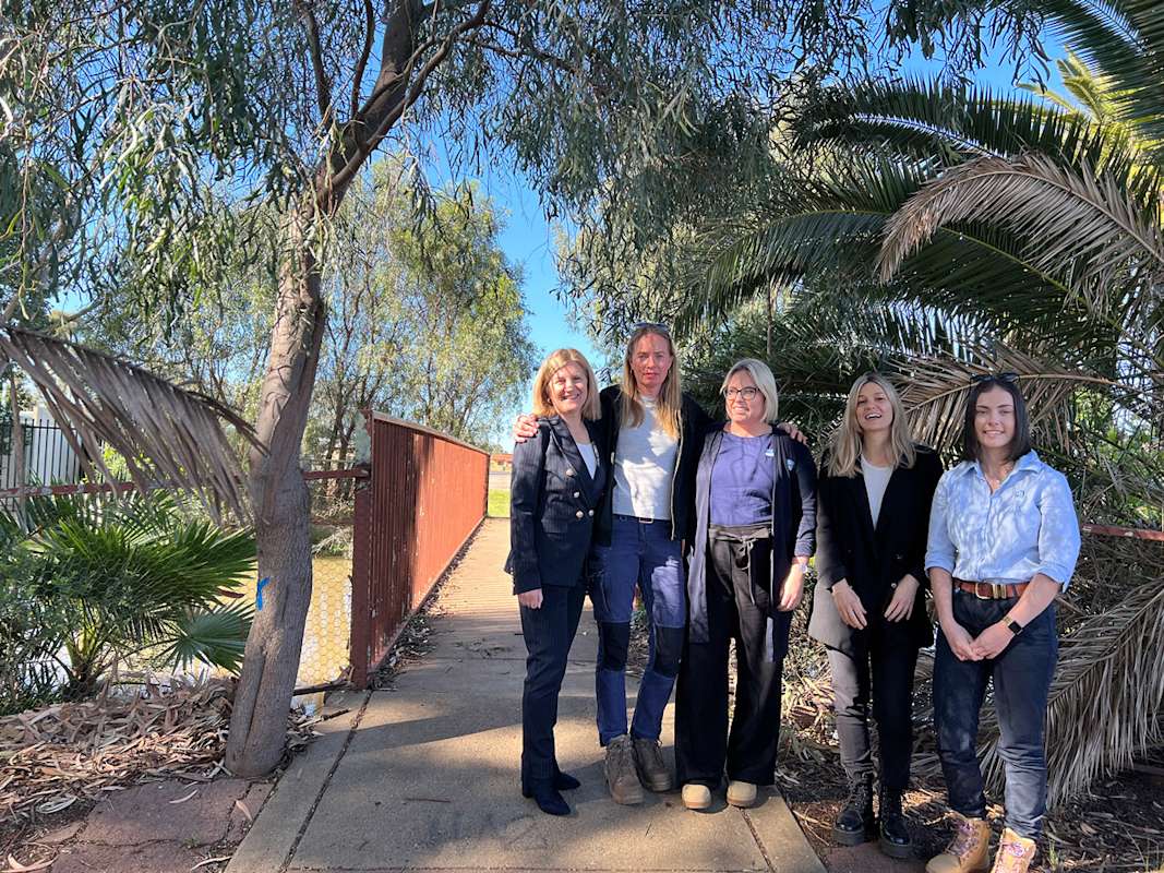 Trees To Be Removed To Enhance Safety And Accessibility For Her Way ...