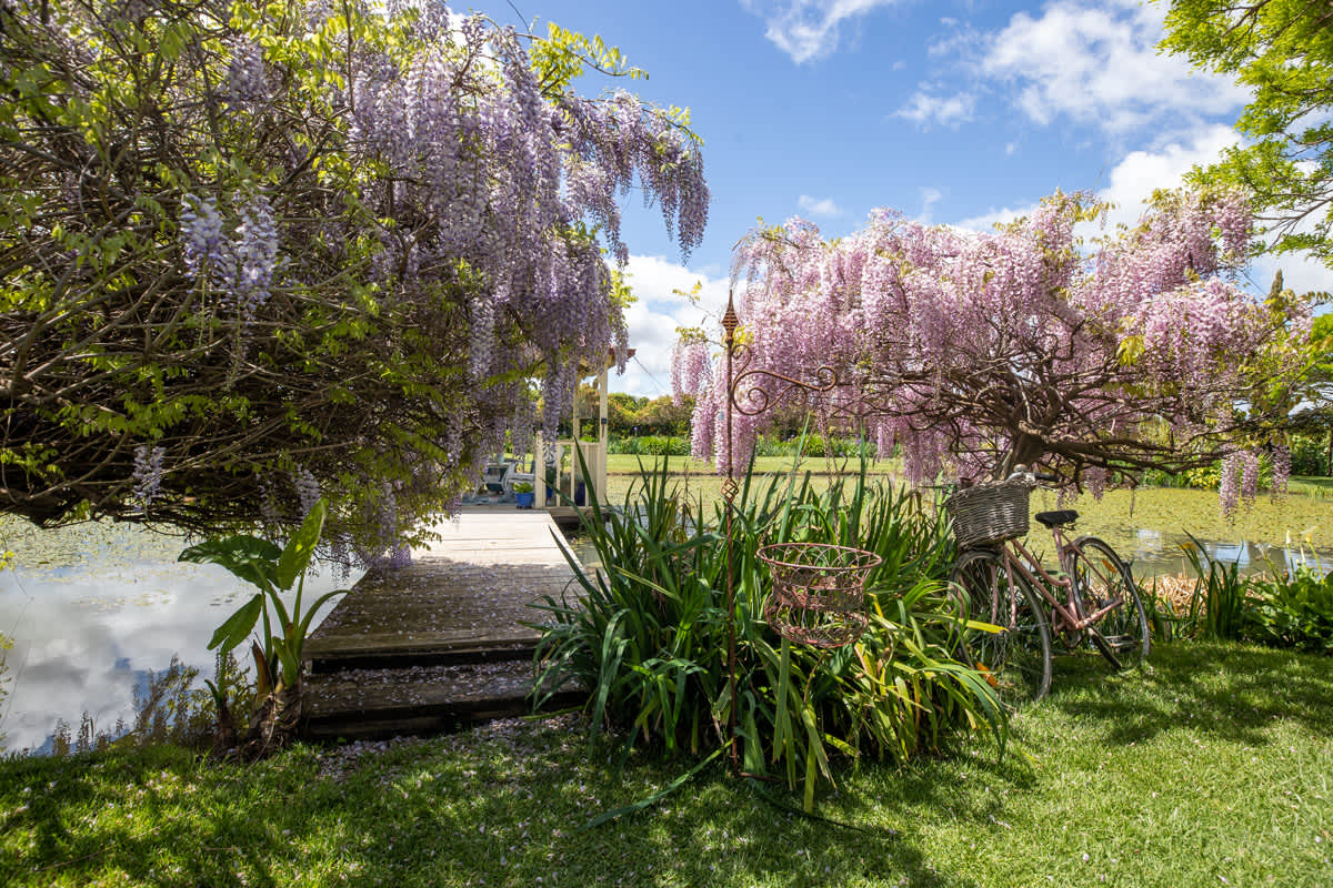Griffith Open Gardens Celebrates 31 Years | The Griffith Phoenix ...