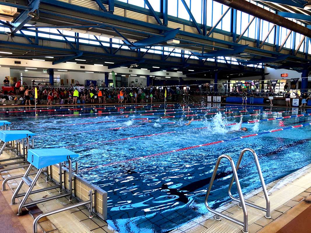 GRALC’s Swimming Carnival Season In Full Swing | The Griffith Phoenix ...