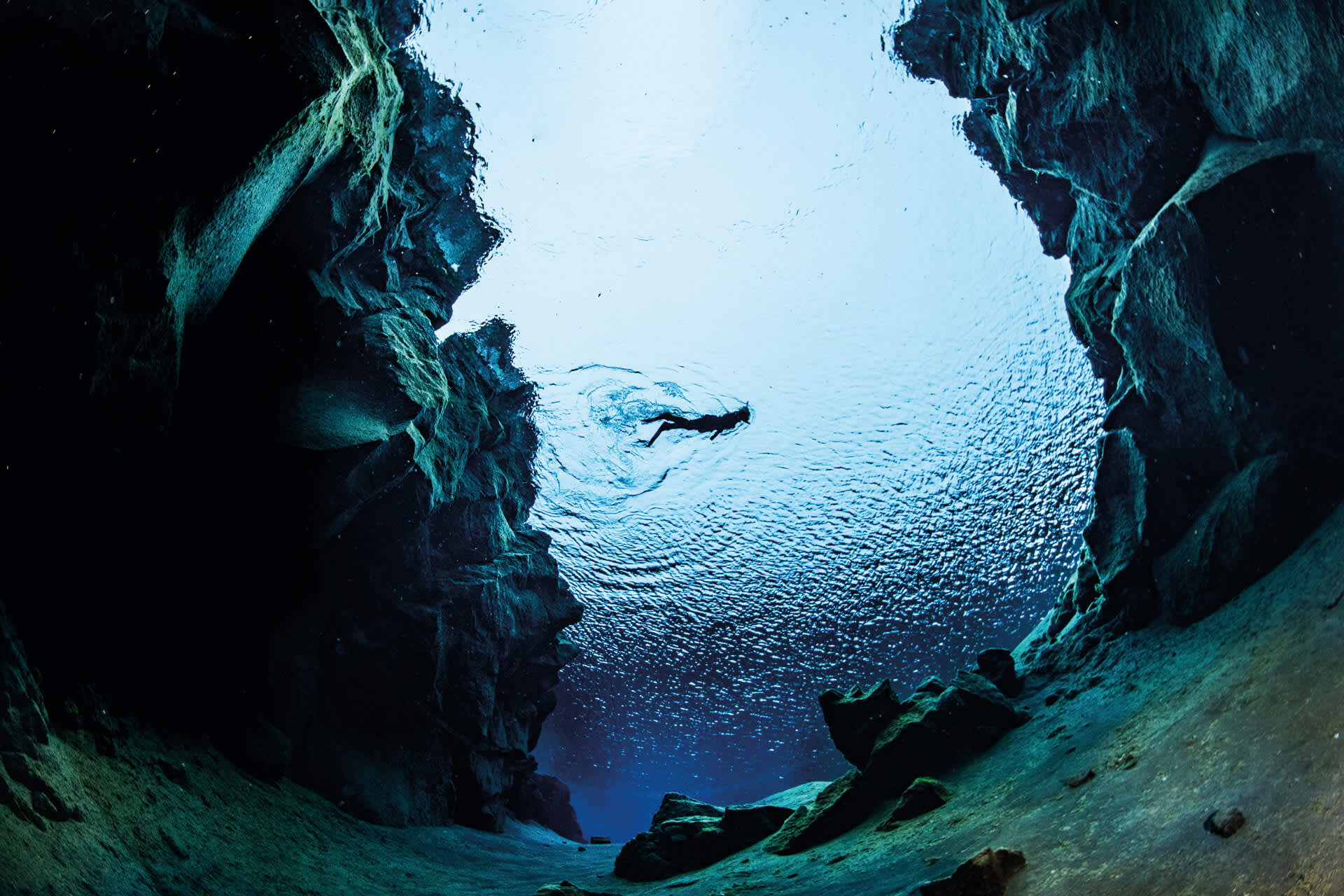 Explore Friðheimar Tomato Farm & Greenhouse on Iceland's Golden Circle