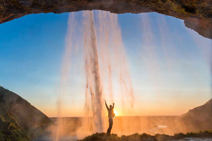 Explore Friðheimar Tomato Farm & Greenhouse on Iceland's Golden Circle