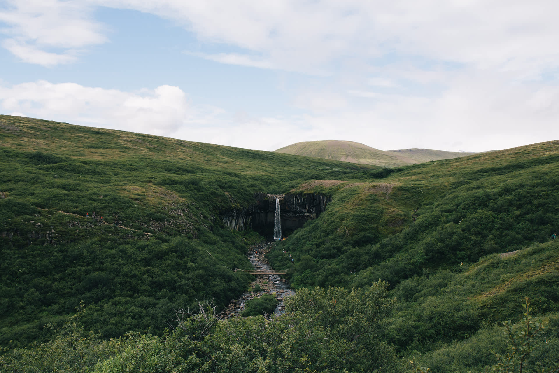 Explore Friðheimar Tomato Farm & Greenhouse on Iceland's Golden Circle