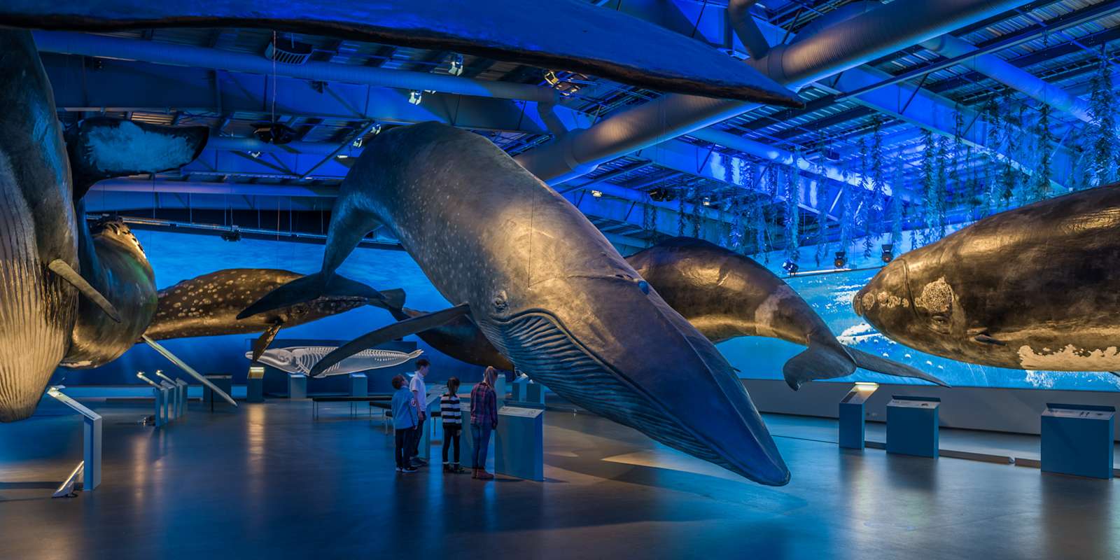 Reykjavík City Sightseeing Hop On Hop Off | Reykjavik Excursions