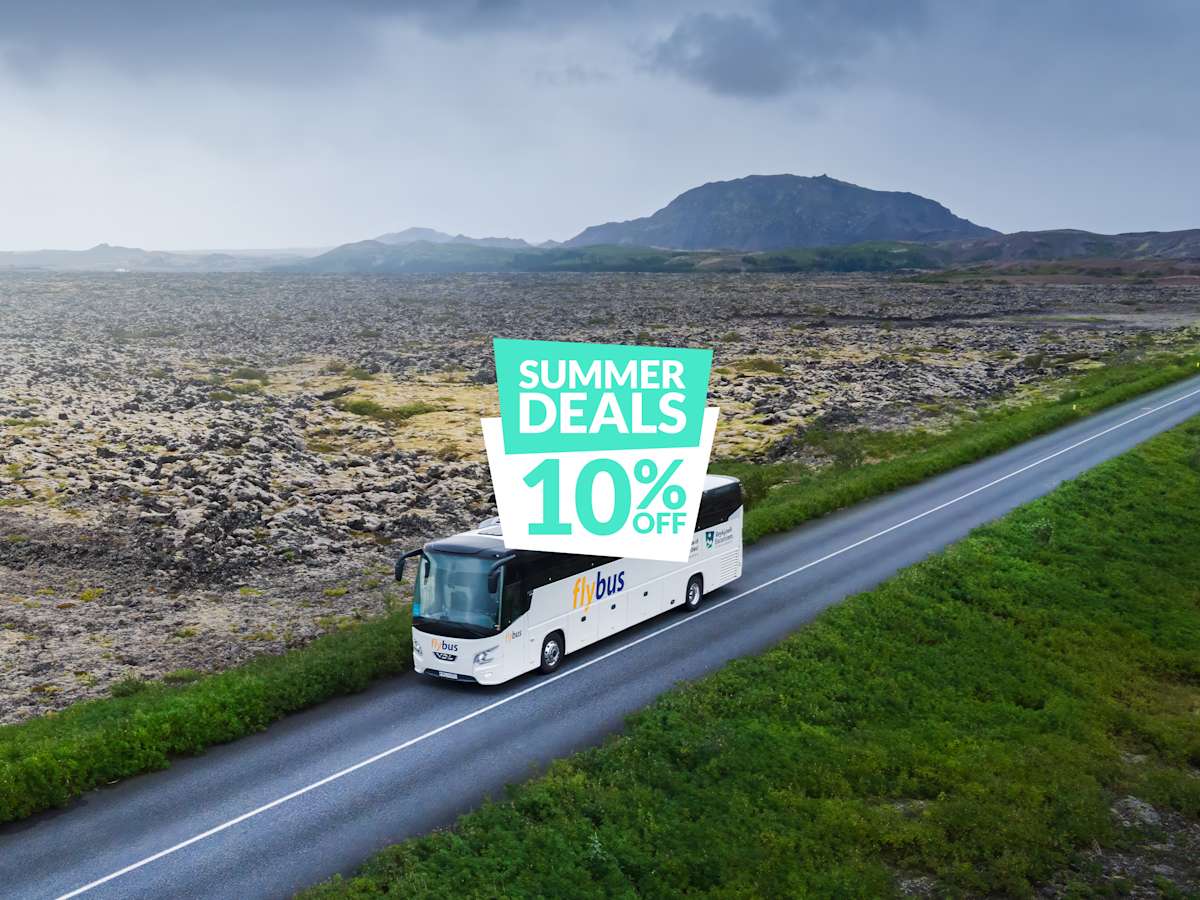 Flybus Airport Transfer | Airport Transfer Iceland | Reykjavik Excursions