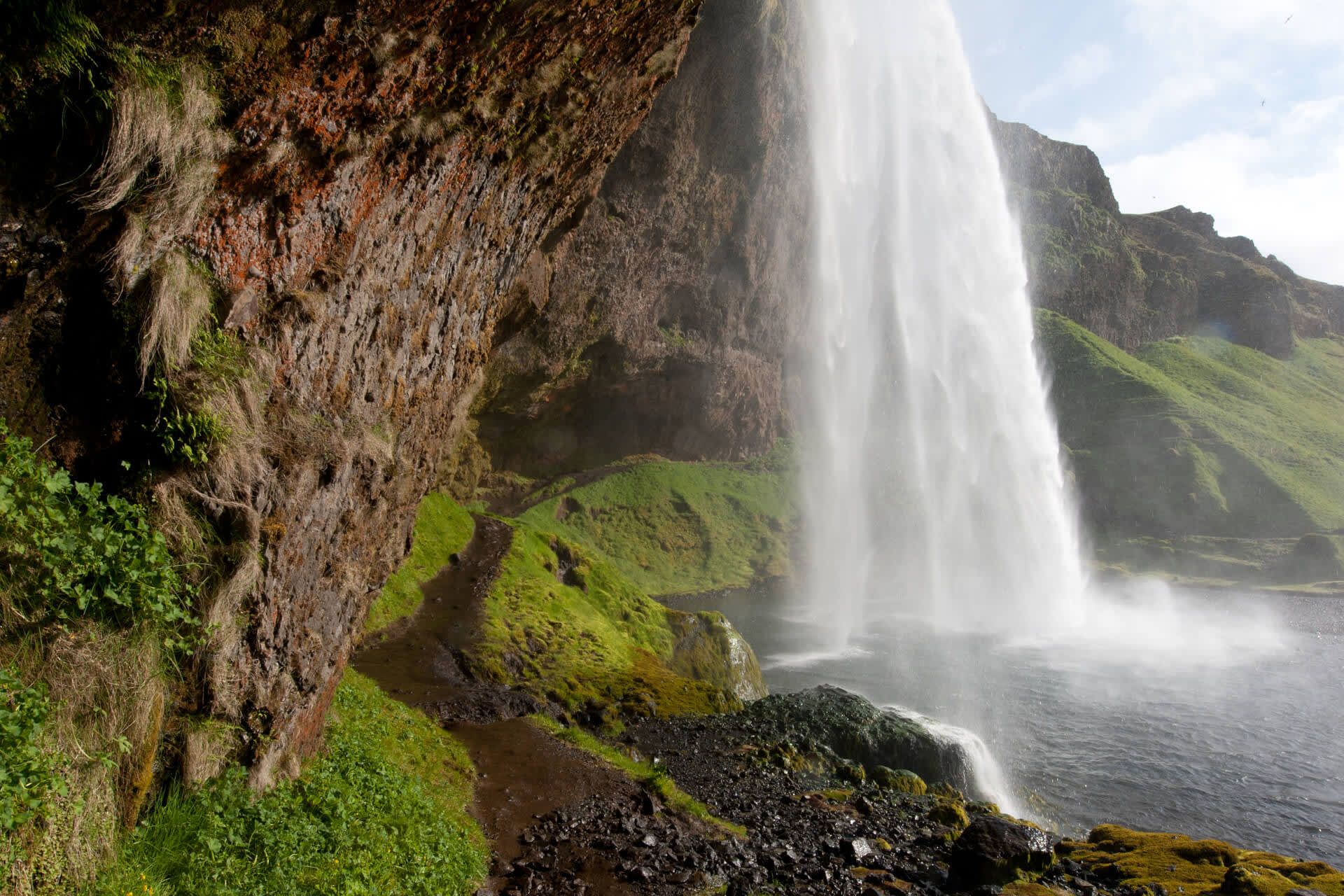 Explore Friðheimar Tomato Farm & Greenhouse on Iceland's Golden Circle