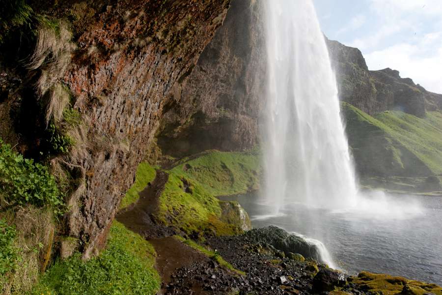 Explore Friðheimar Tomato Farm & Greenhouse on Iceland's Golden Circle