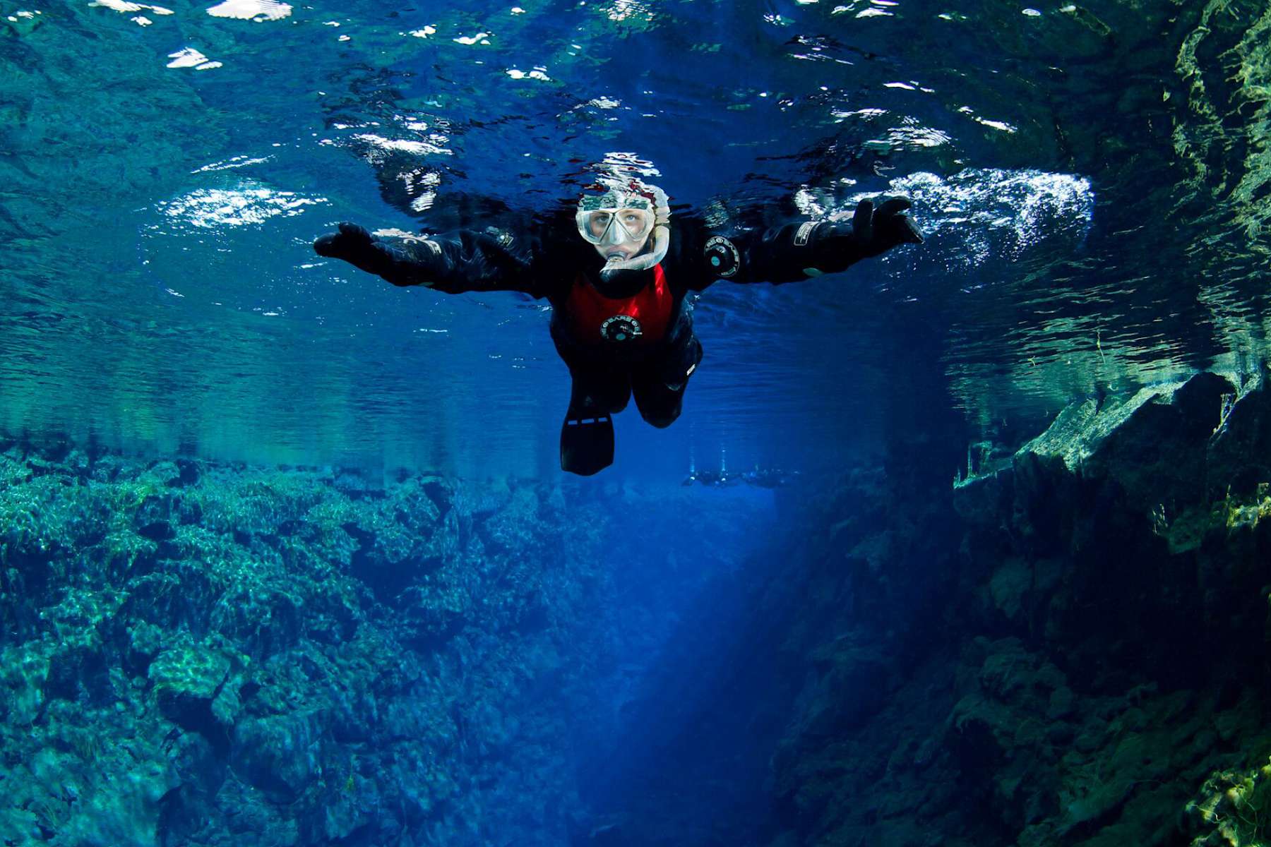 Explore Friðheimar Tomato Farm & Greenhouse on Iceland's Golden Circle