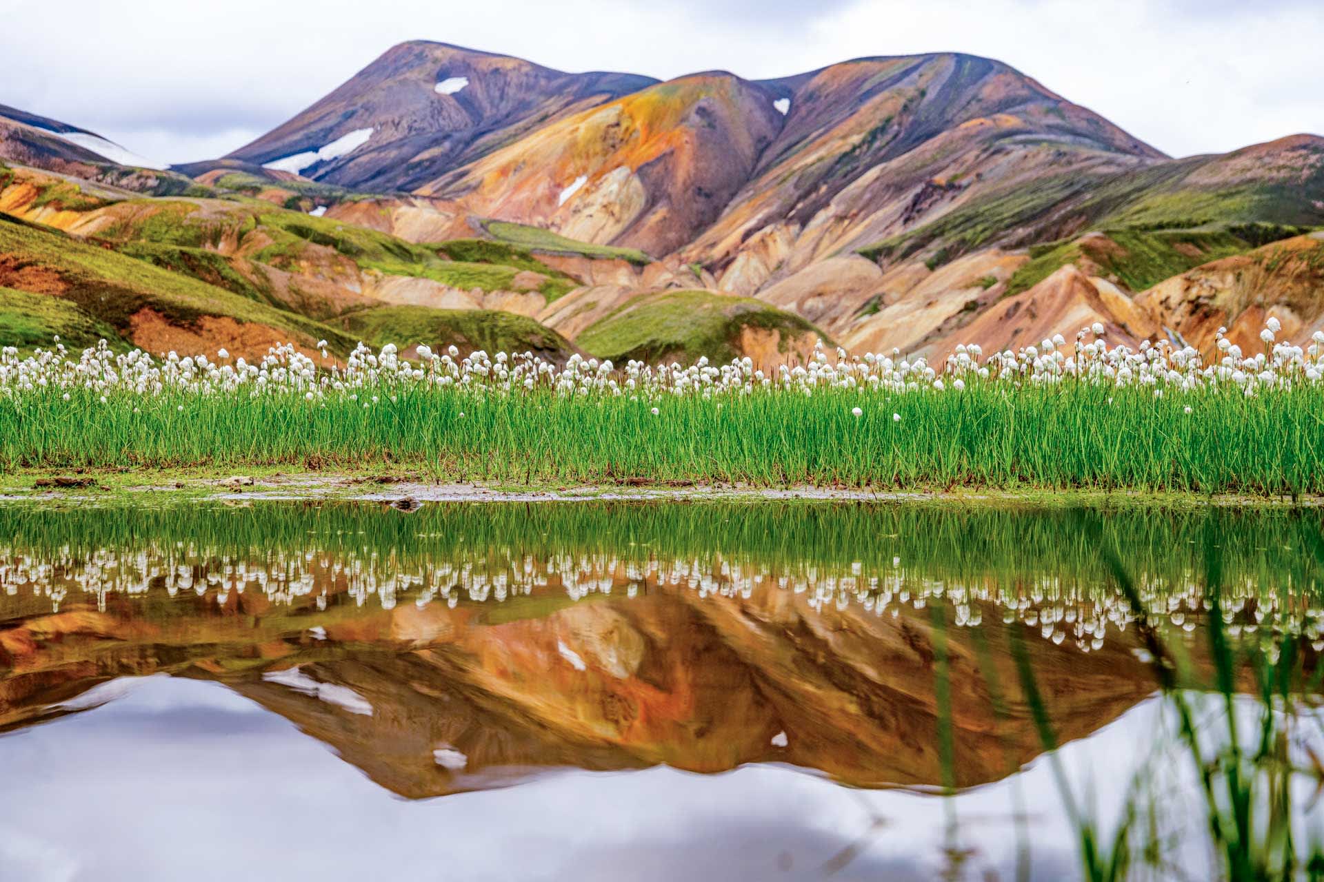 Explore Friðheimar Tomato Farm & Greenhouse on Iceland's Golden Circle