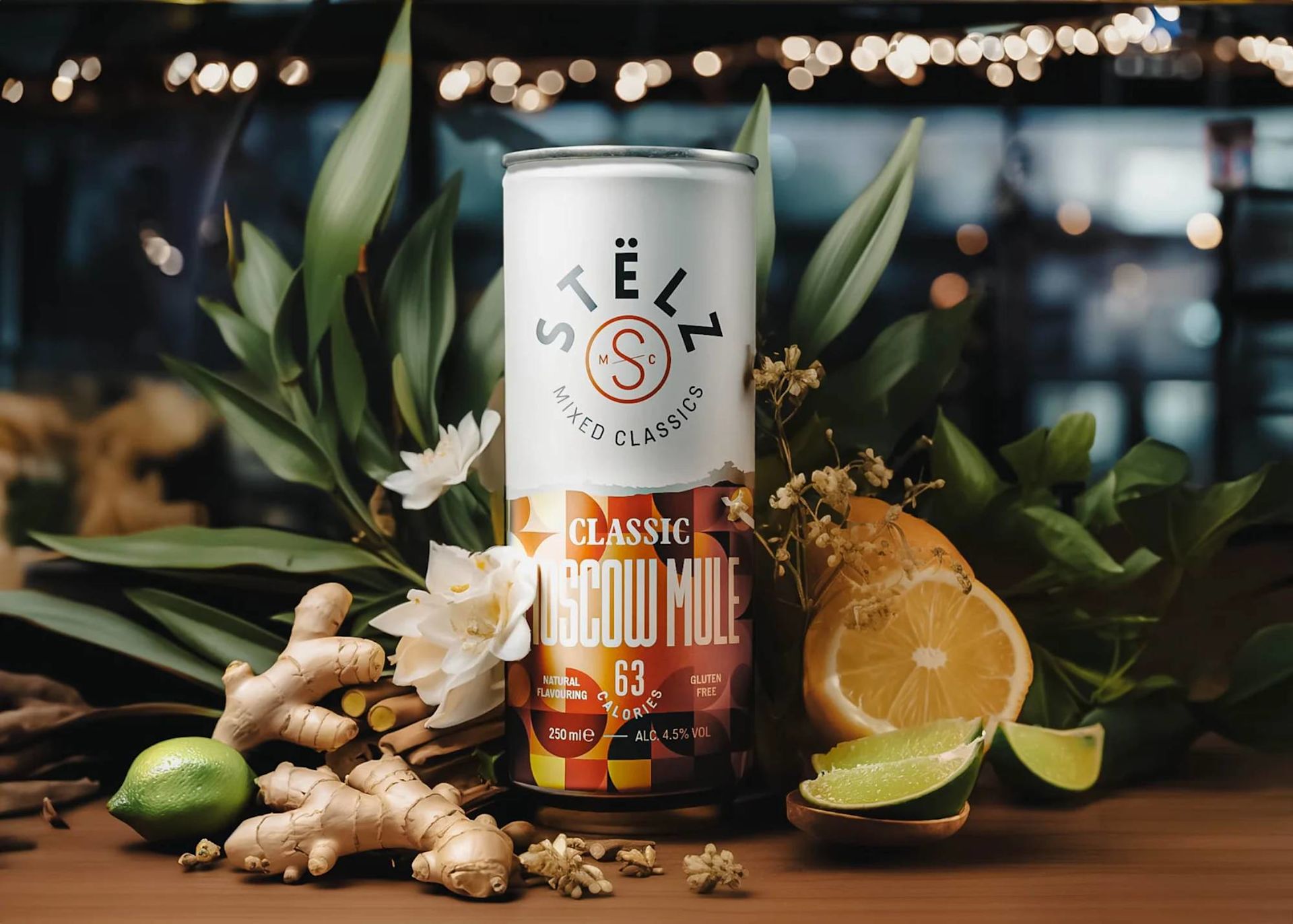 HEINEKEN Horeca - STËLZ hard seltzers