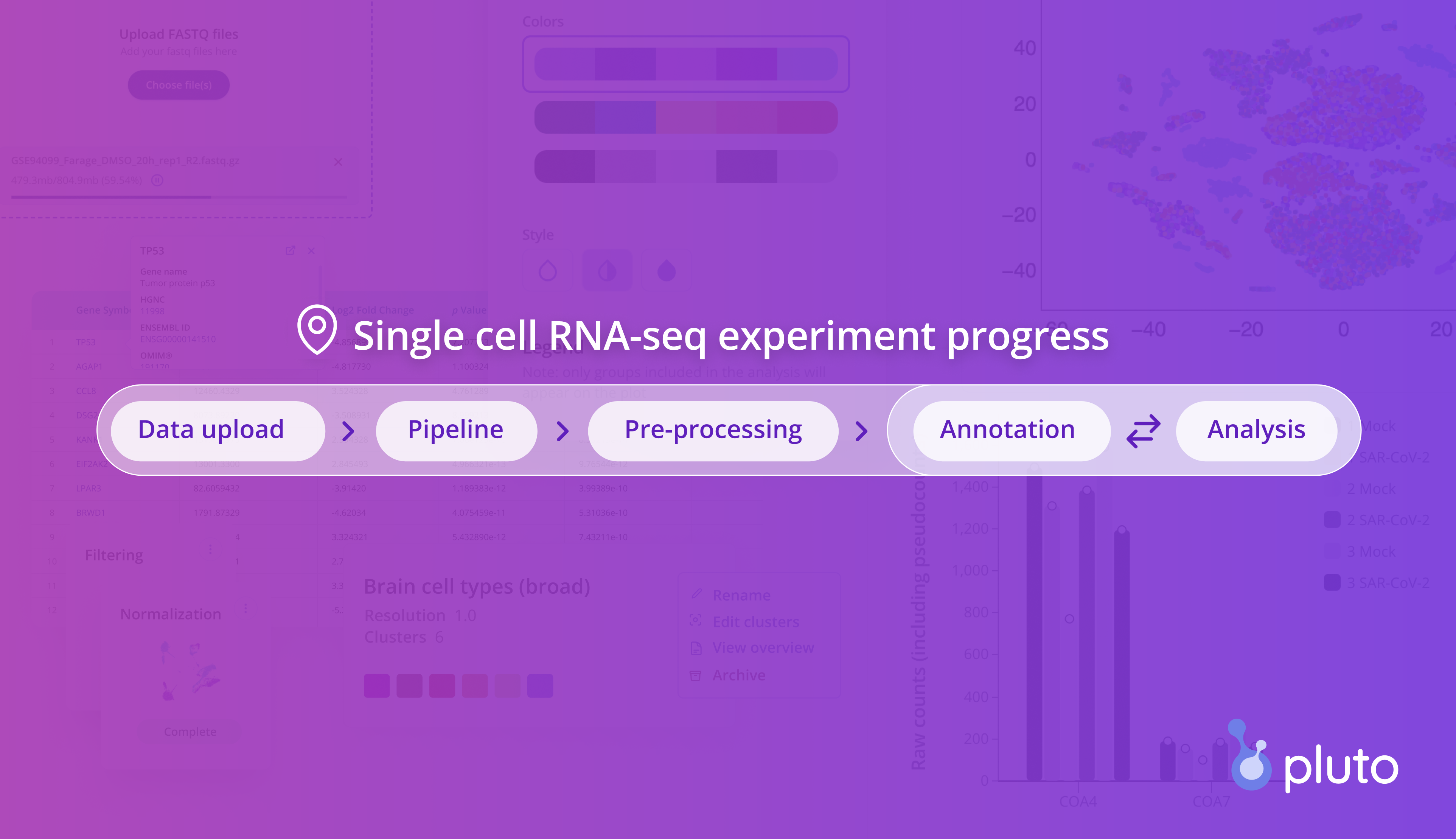 Pluto Bio • Announcing end-to-end single cell RNA-seq anal... | Pluto Bio