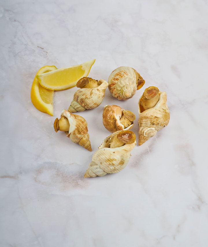 Bulots cuits La poissonnerie gourmet | Galeries Lafayette Le Gourmet